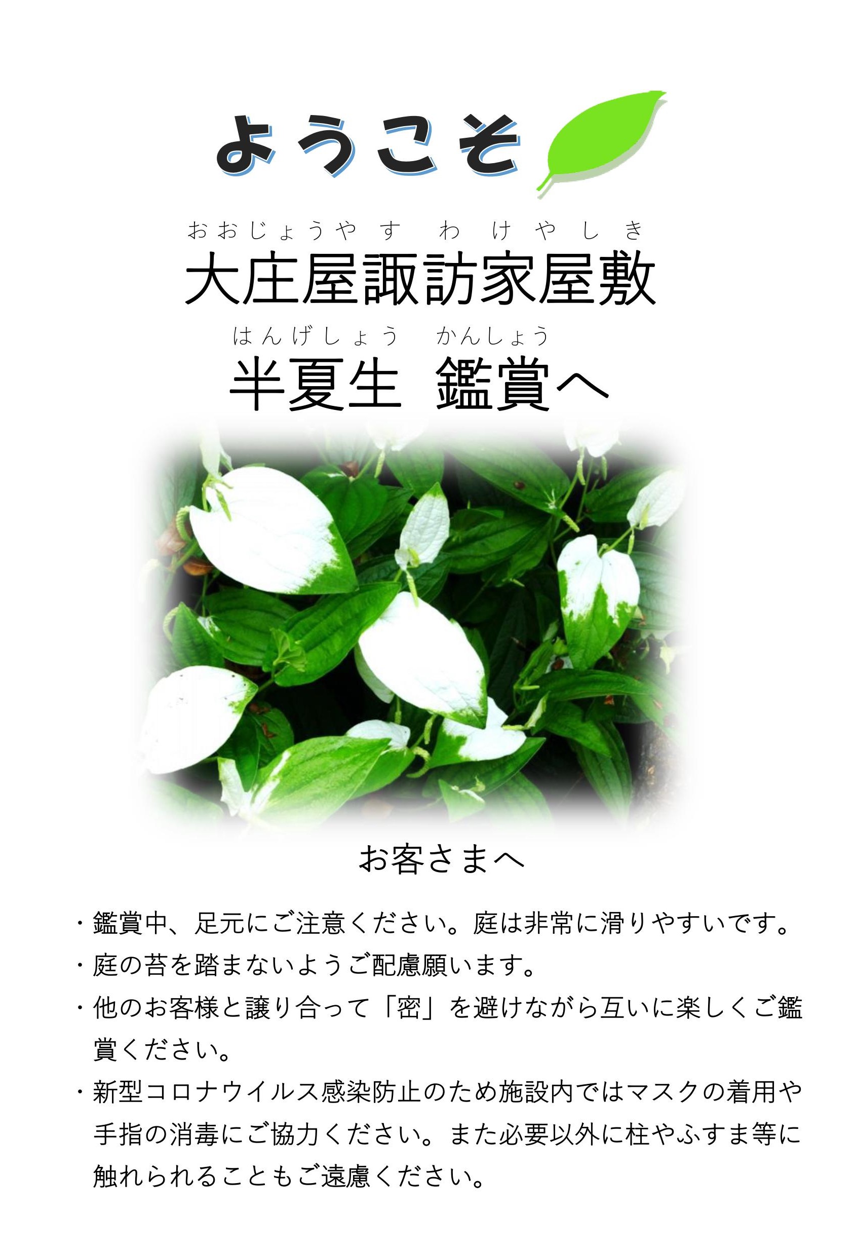 半夏生鑑賞パンフレットを配布しています | 大庄屋諏訪家屋敷